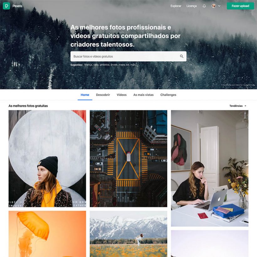 Pexels: o melhor site de Banco de Imagens Grátis (uso comercial free)